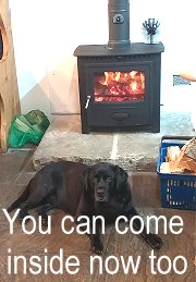 Flash Bar Cafe and Shop